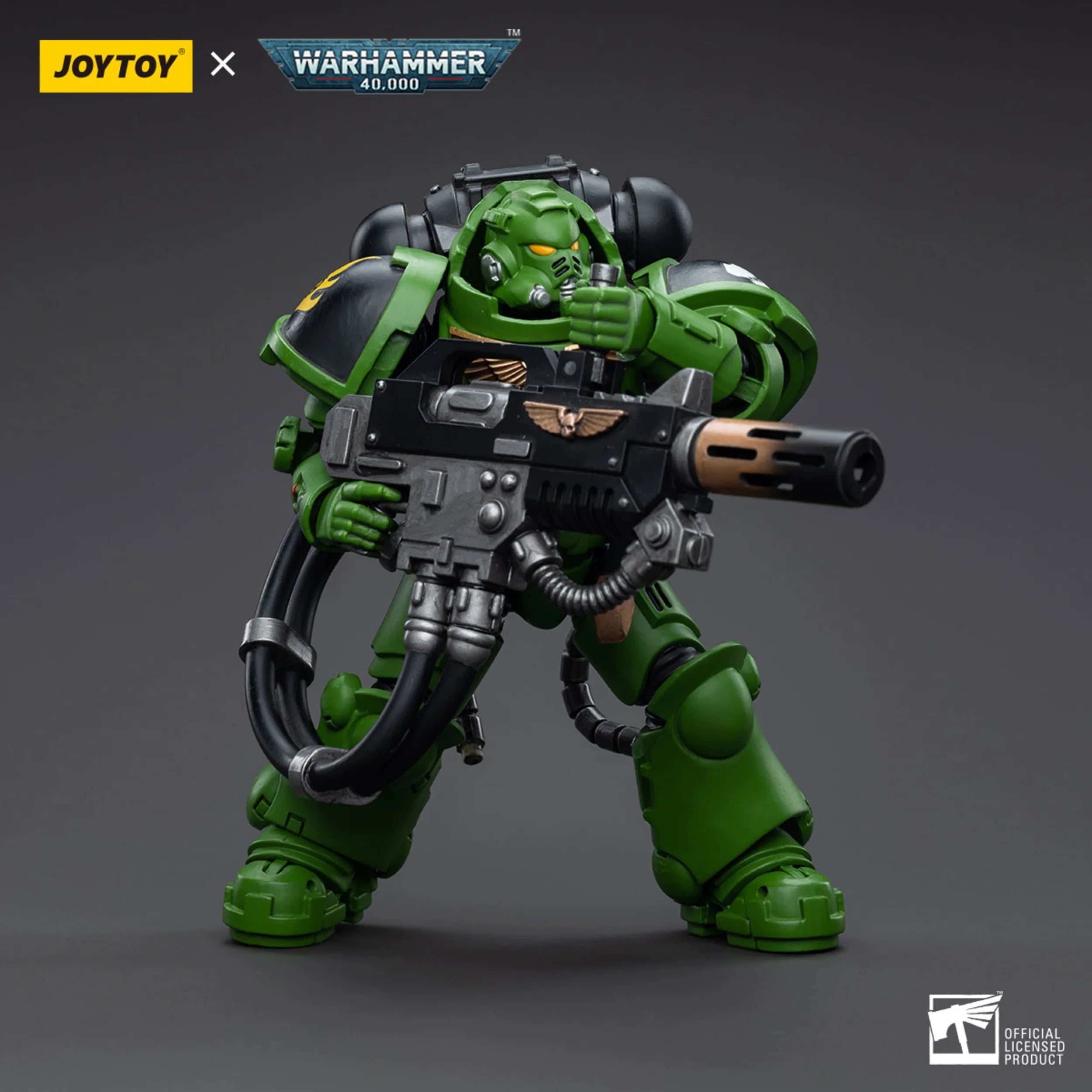 Salamanders – Lair 01